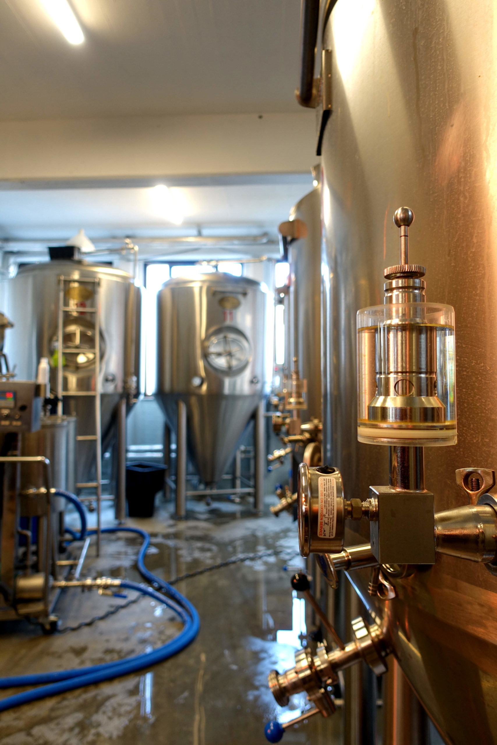 Eindhoven: David Hendrich – My beer sommelier adventures